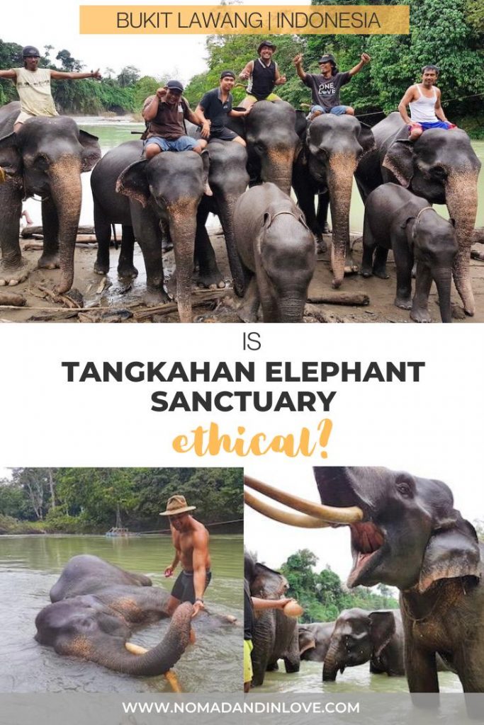 Is Tangkahan Elephant Sanctuary a True and Ethical Sanctuary?